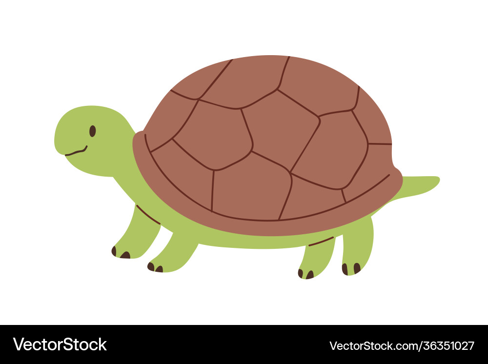 Smiling Green Turtle Cartoon Royalty Free Vector Image