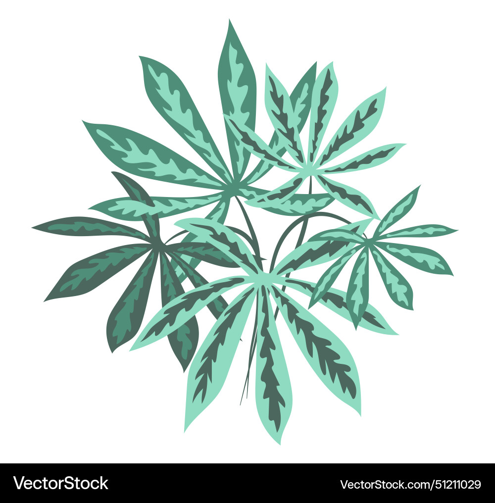 Chestnut leaves in flat design green tree foliage Vector Image