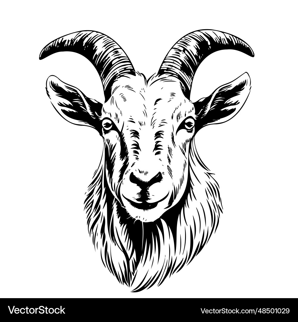 Goat Head Drawing Poster, Foto Monochrome Goat Icon, DGIM Studio