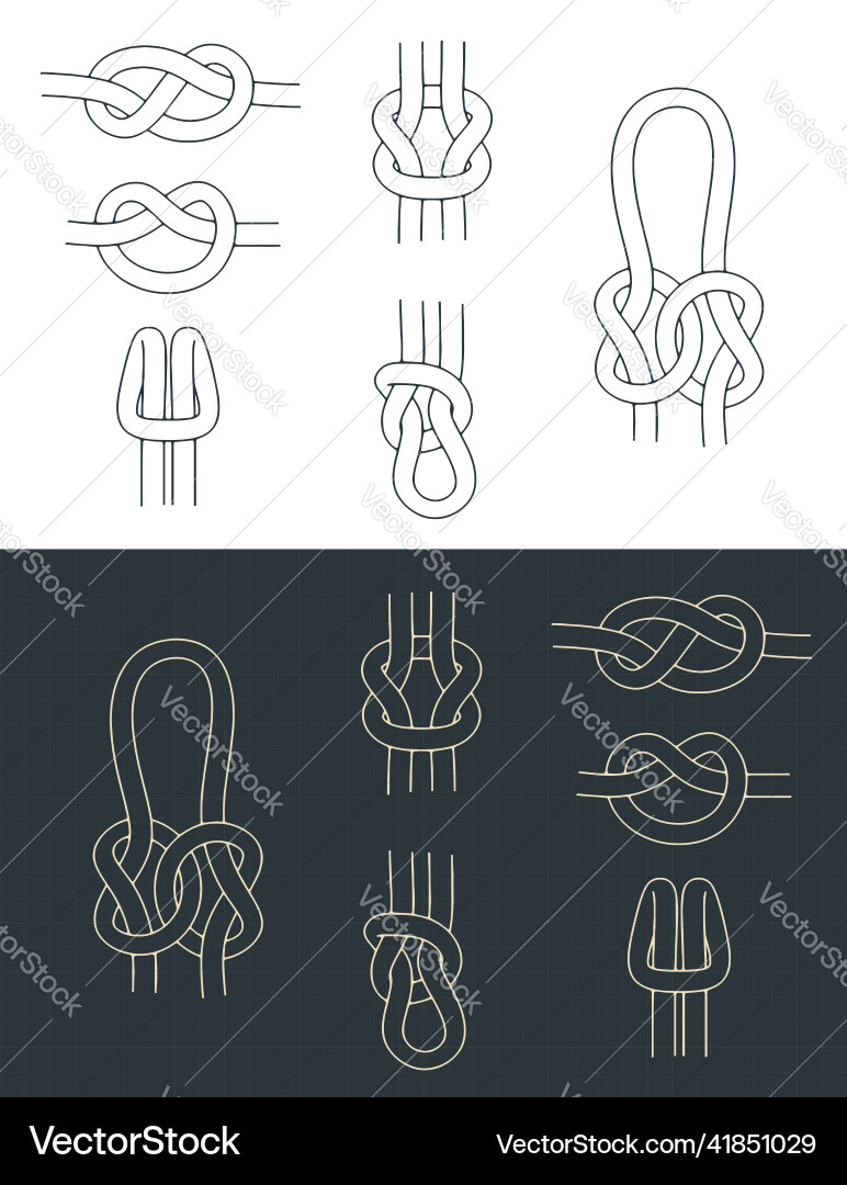 Knots mini set Royalty Free Vector Image - VectorStock