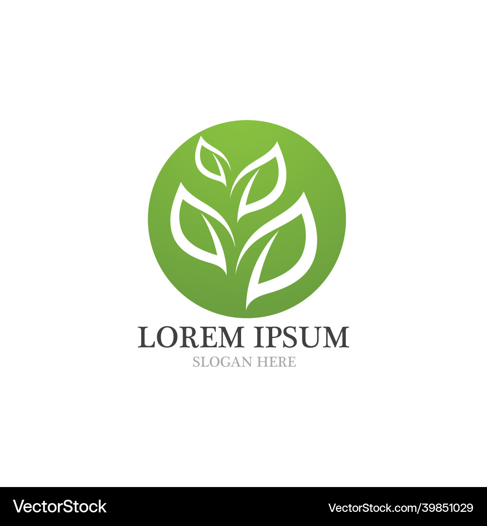 Leaf logo and icon nature Royalty Free Vector Image