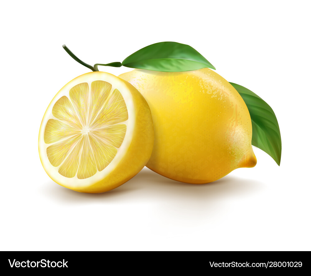 Lemon with leaves isolated on white background Vector Image