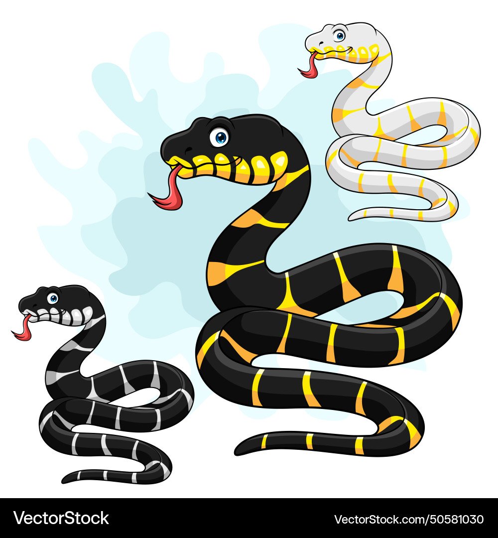 Cartoon mangrove snake collection set Royalty Free Vector
