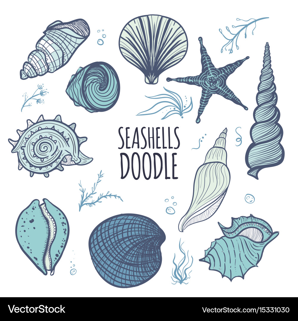 Colorful set of seashells on white background Vector Image