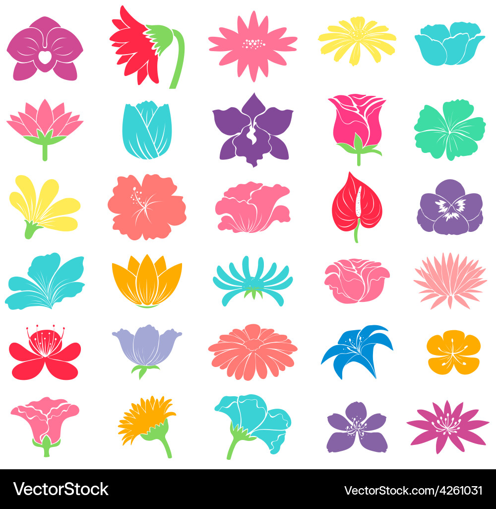 Different floral designs Royalty Free Vector Image