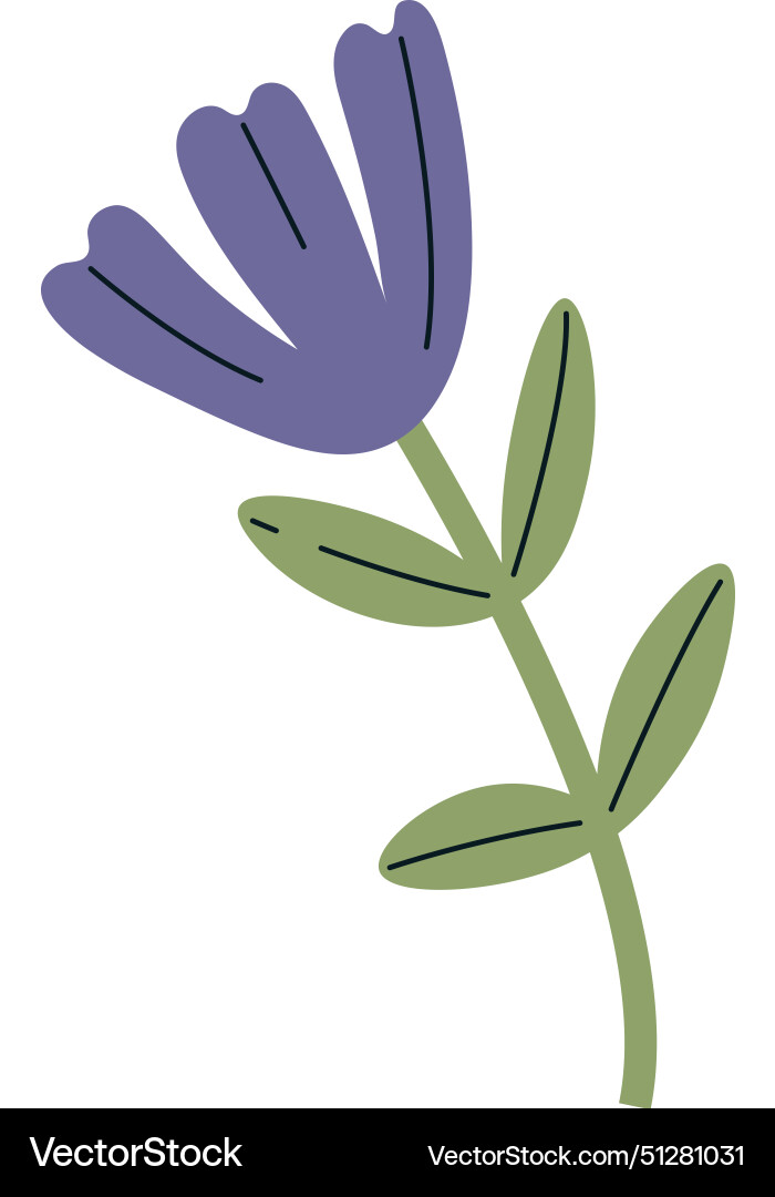 Flower on stem Royalty Free Vector Image - VectorStock