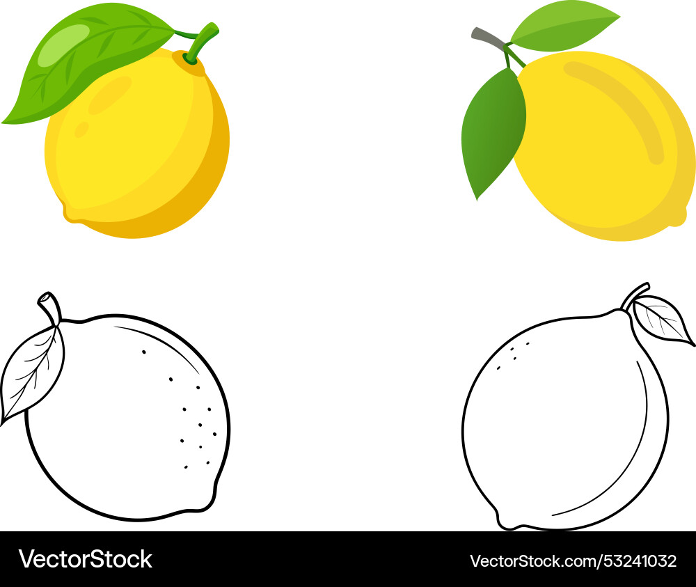 Continuous one line drawing of lemon fruit Vector Image