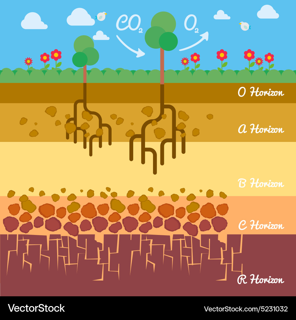 Flat design soil infographics nature Royalty Free Vector