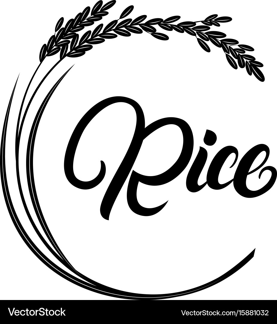 Rice plant with hand written lettering Royalty Free Vector