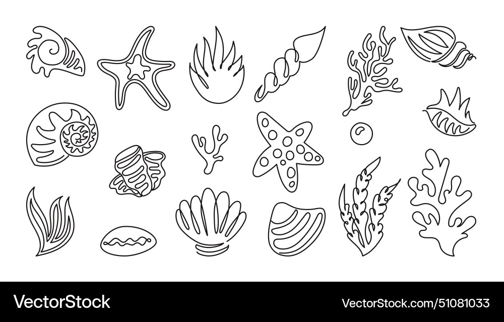 Line shell sea art outline beach starfish Vector Image