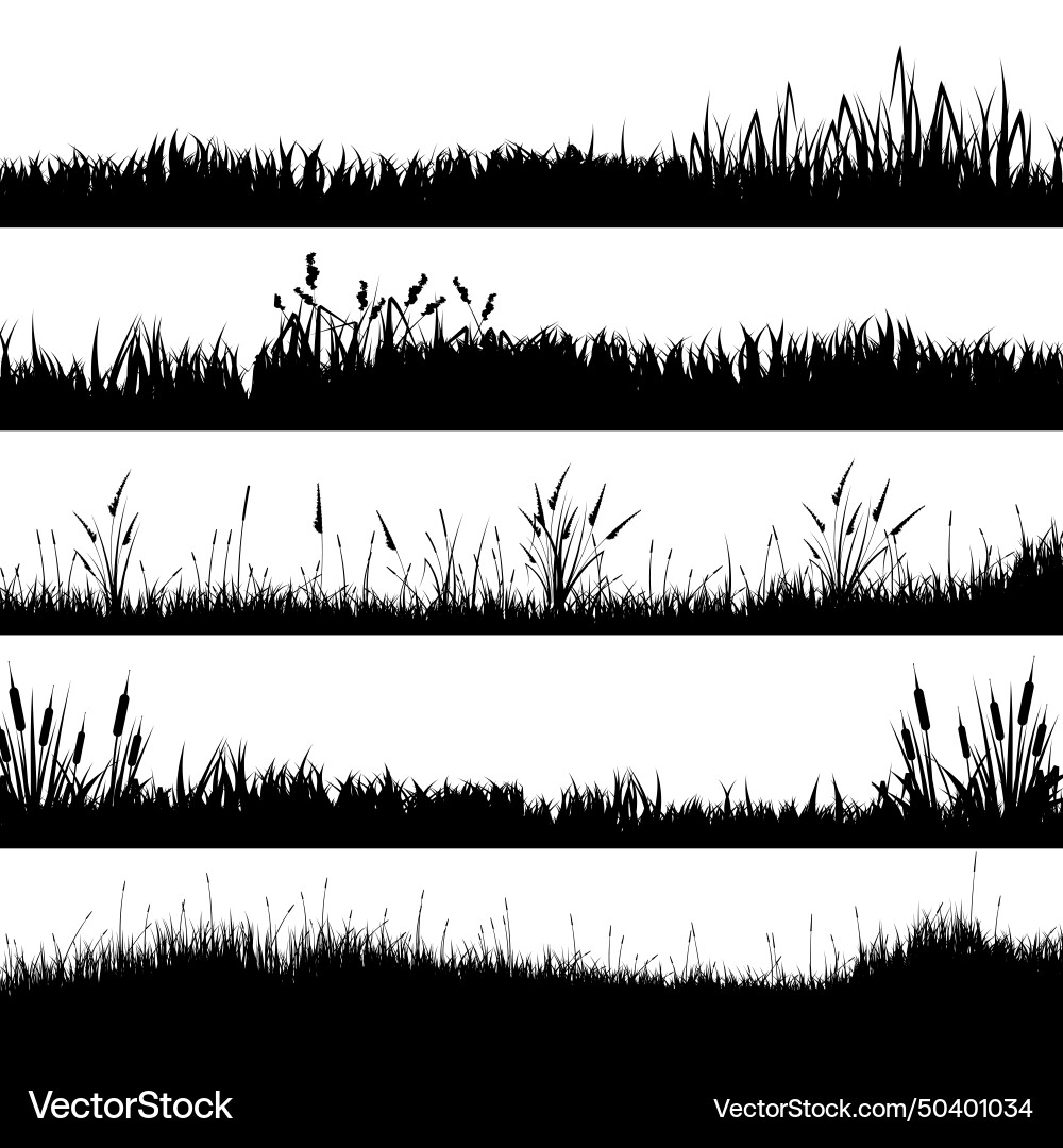 Meadow silhouettes with grass plants on plain Vector Image