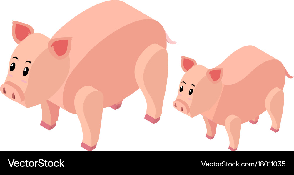 3d design for farm pigs Royalty Free Vector Image