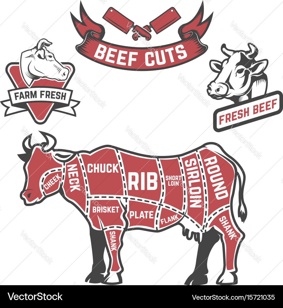 Beef Cut Diagram - Butcher's Scheme Royalty Free Vector