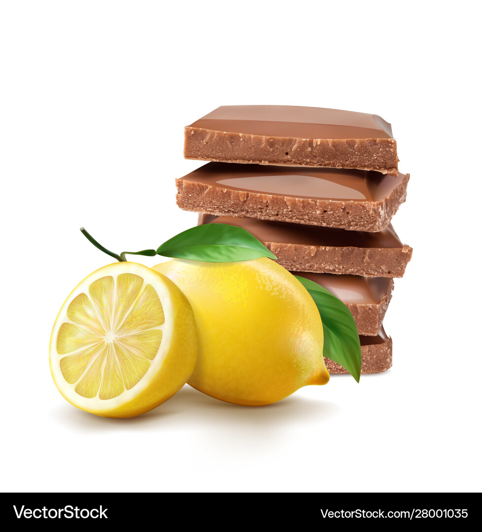 Chocolate with lemon flavor Royalty Free Vector Image