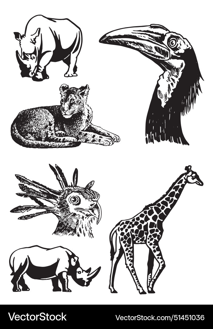 Graphical collection of animals on white Vector Image