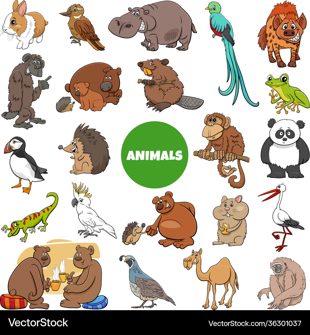 Cartoon wild animal characters big set Royalty Free Vector
