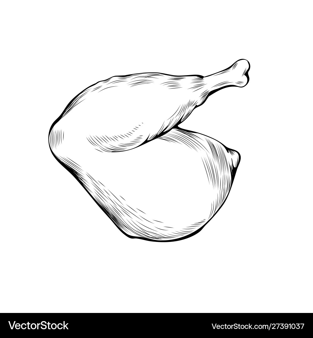 Chicken leg coloring book Royalty Free Vector Image