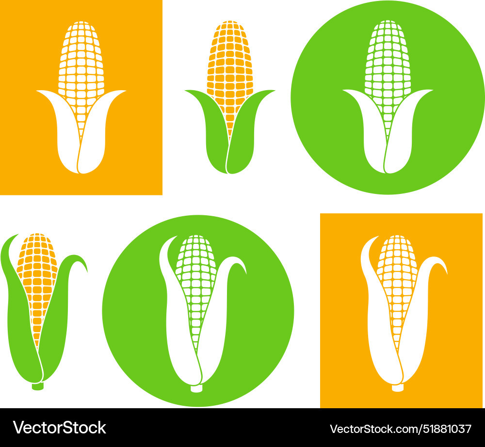 Corn Royalty Free Vector Image - VectorStock