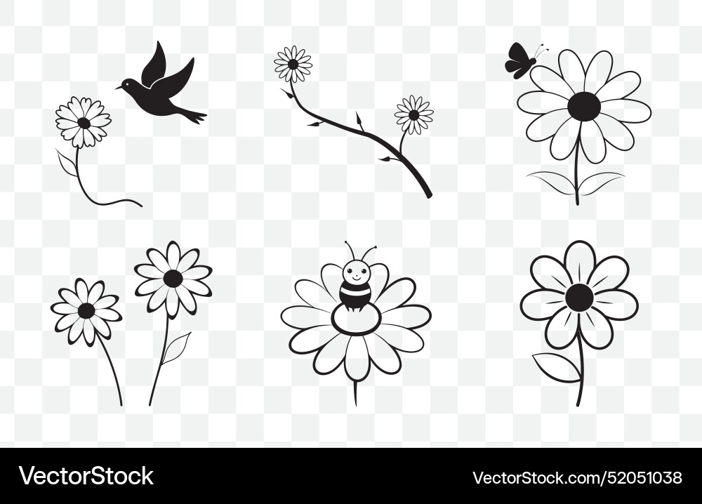 Daisy Line Art Collection Royalty Free Vector Image