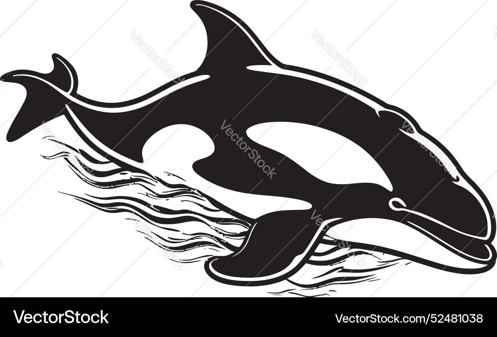 Darling dolphin defender charming orca symbol Vector Image