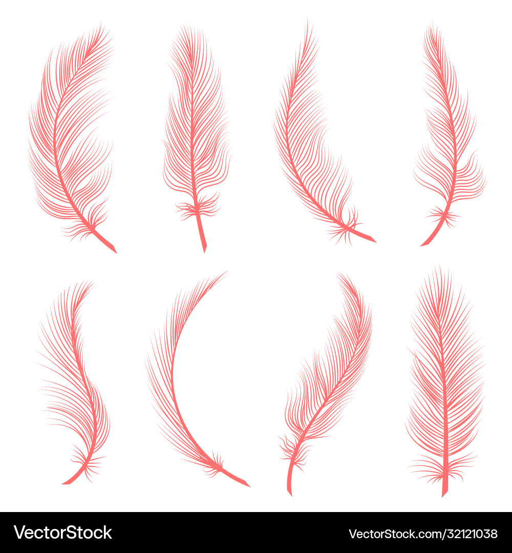 Decorative pink feathers Royalty Free Vector Image