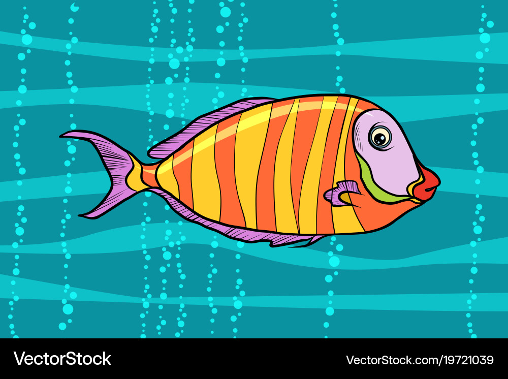 Cichlid aquarium fish Royalty Free Vector Image