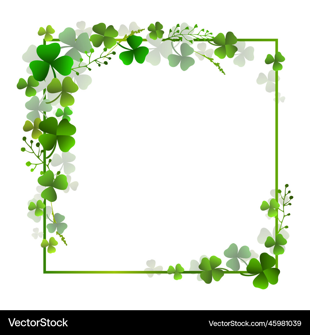 Square frame with green shamrock leaves clover Vector Image