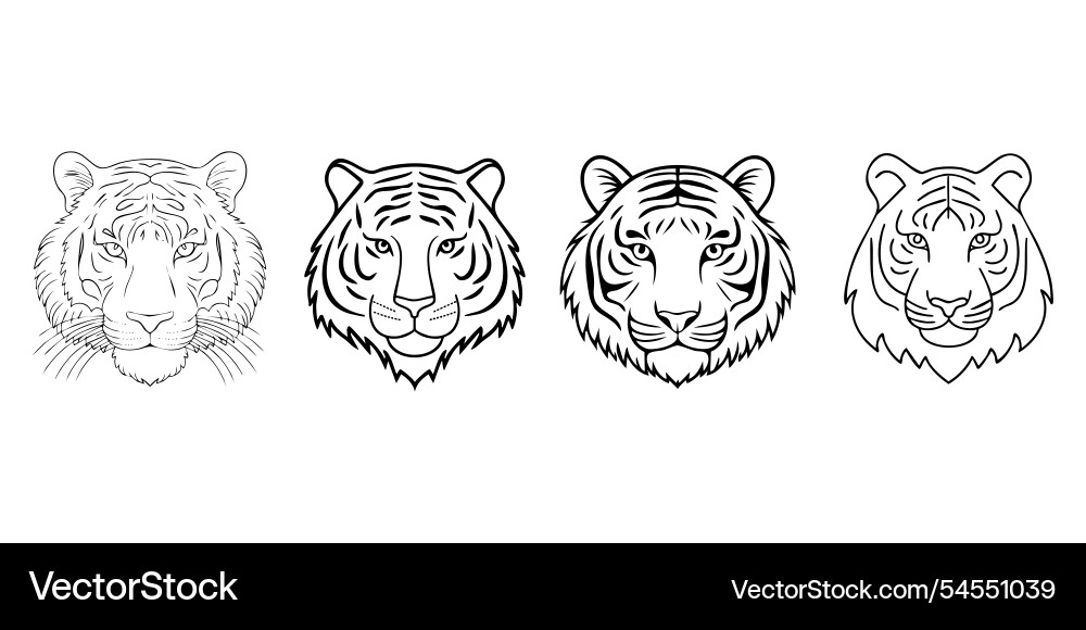 Tiger head line art Royalty Free Vector Image - VectorStock
