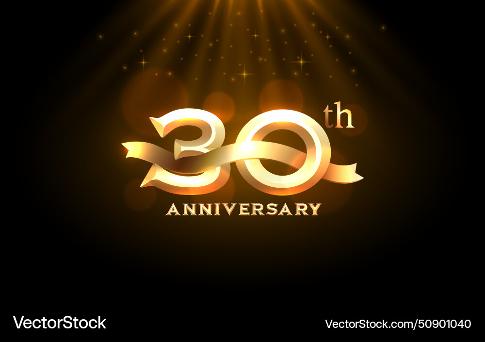 Anniversary 30th year golden celebration birthday Vector Image