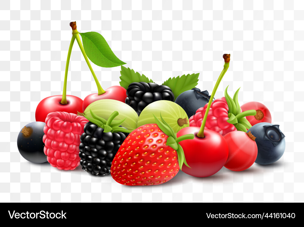 Mix of different berries fresh assorted Royalty Free Vector