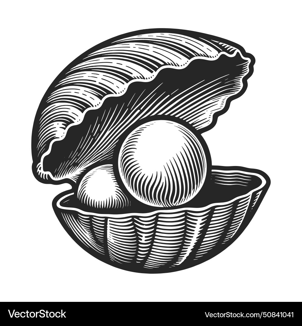 Pearl in open oyster shell engraving Royalty Free Vector
