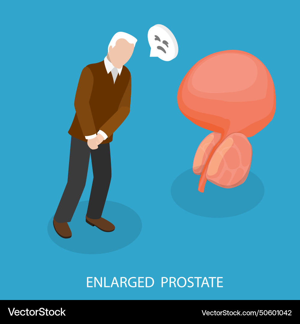 3d isometric flat of enlarged Royalty Free Vector Image