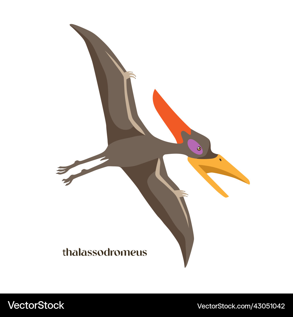Hand drawn cartoon pterosaur thalassodromeus Vector Image