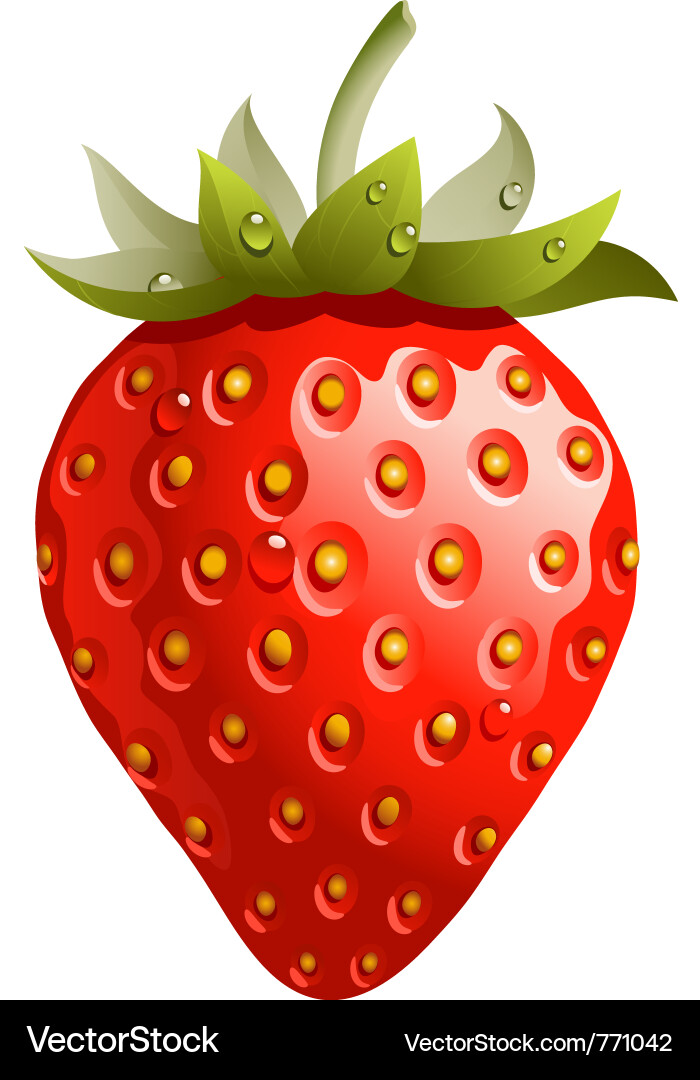 Strawberry Royalty Free Vector Image - VectorStock