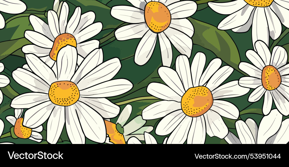 Daisy field Royalty Free Vector Image - VectorStock