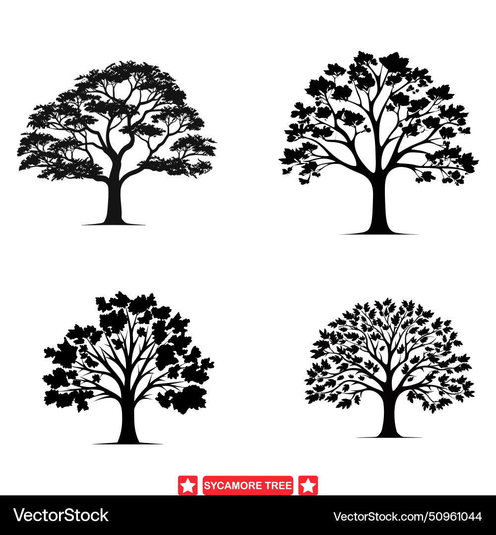 Nature s symphony sycamore tree silhouette Vector Image
