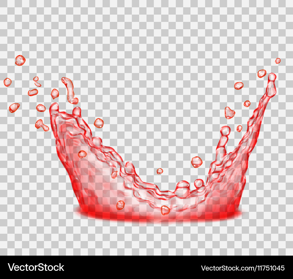 Transparent water splash Royalty Free Vector Image