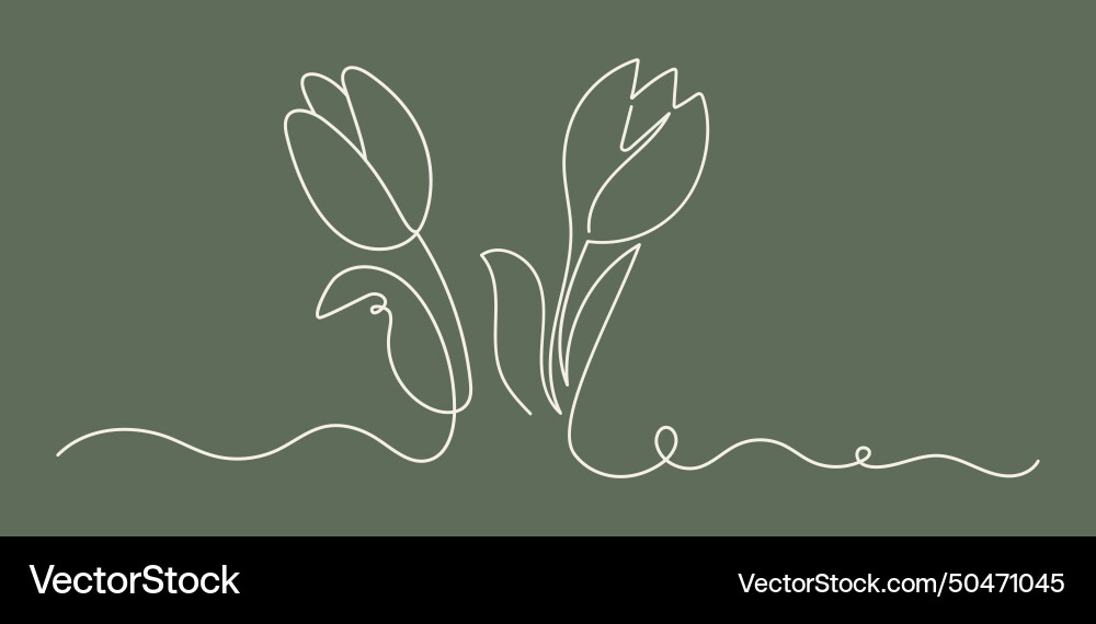 Tulips line art banner elegant design Royalty Free Vector