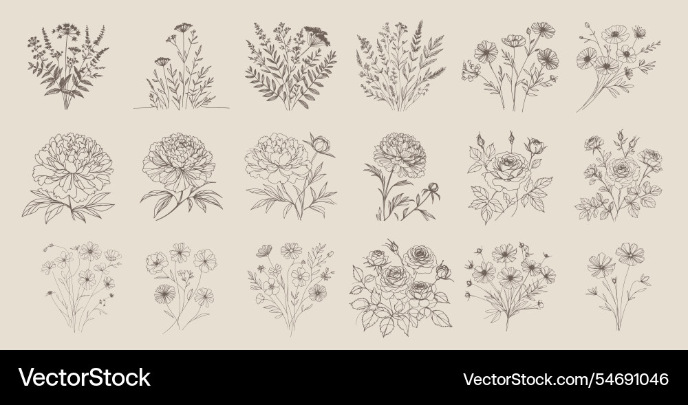 Autumn botanical line drawing set hand drawn fall Vector Image