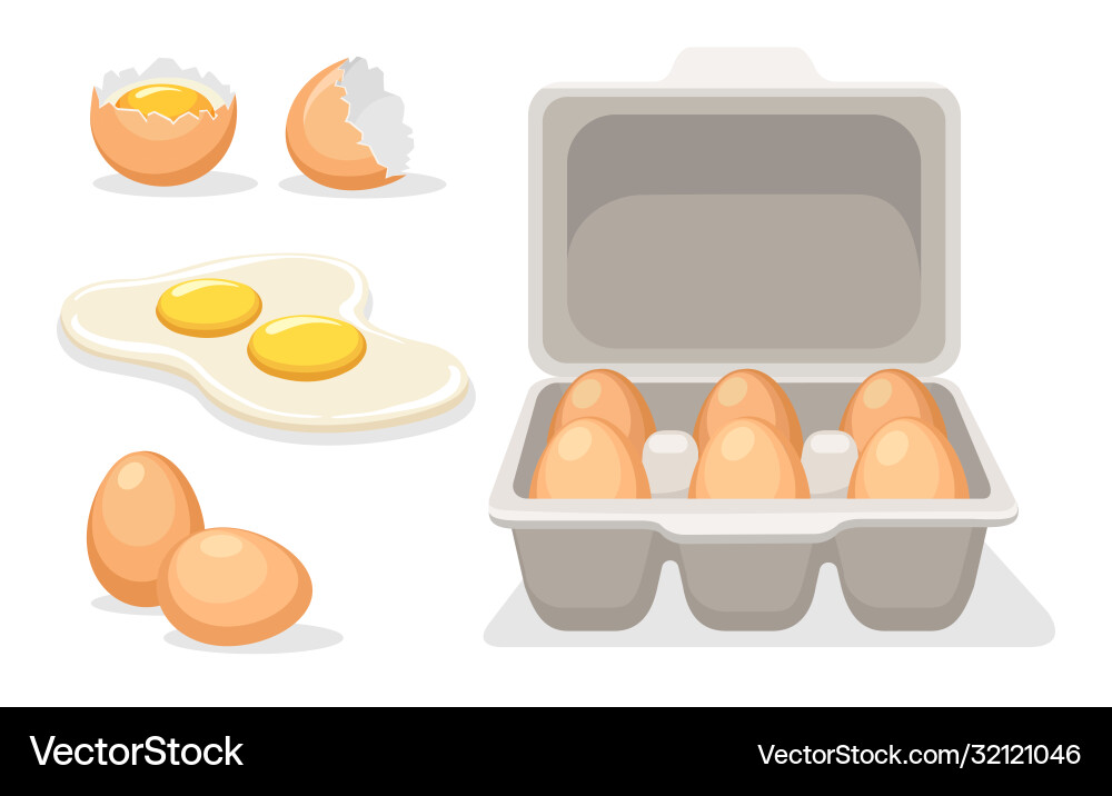 Cartoon broken chicken eggs Royalty Free Vector Image