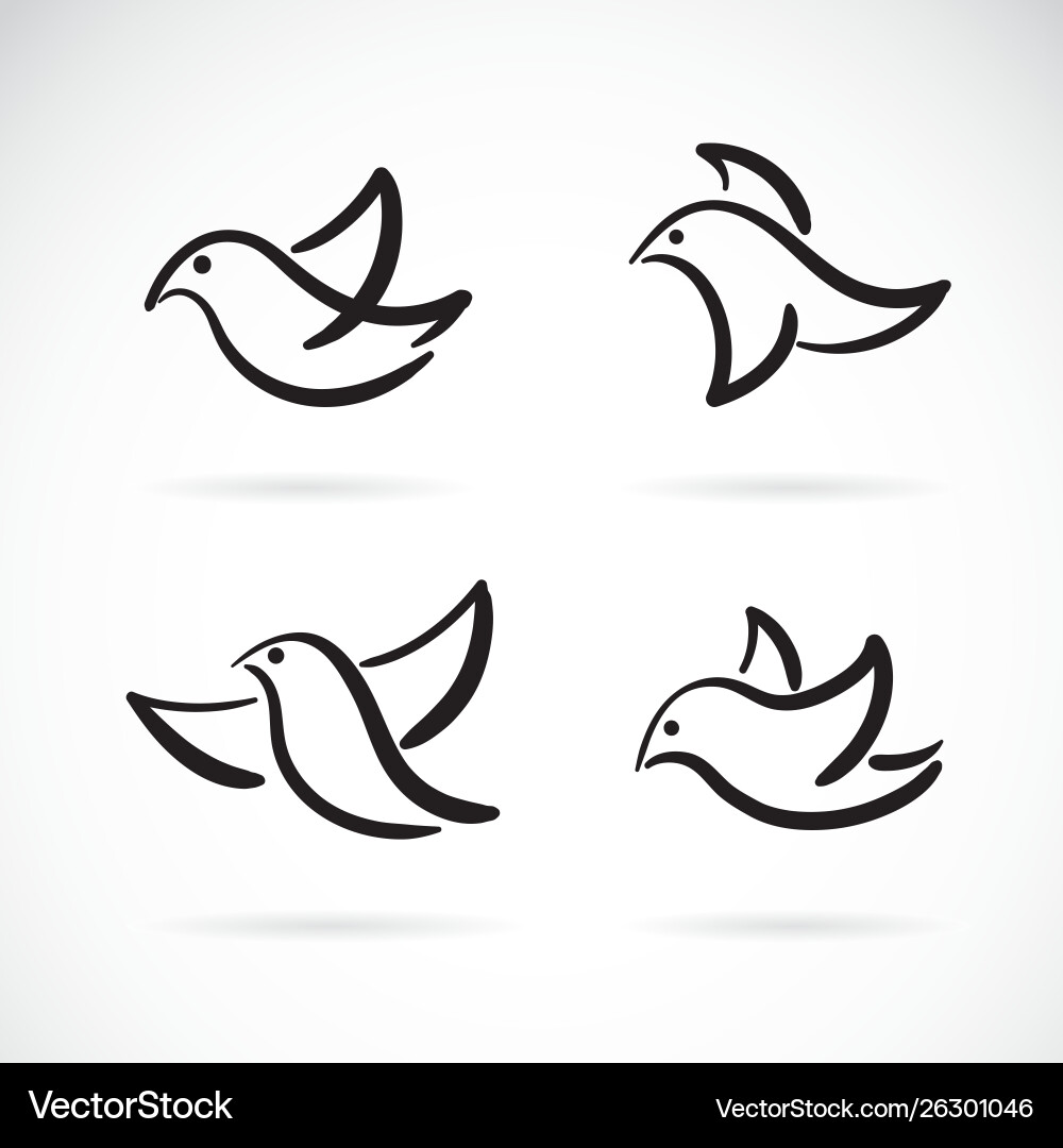 Collection hand drawn doodle style birds Vector Image