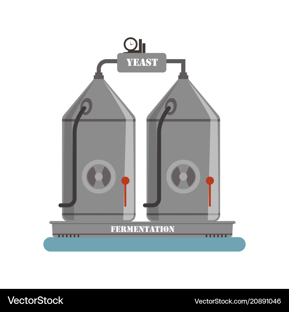 Fermentation equipment winery production process Vector Image