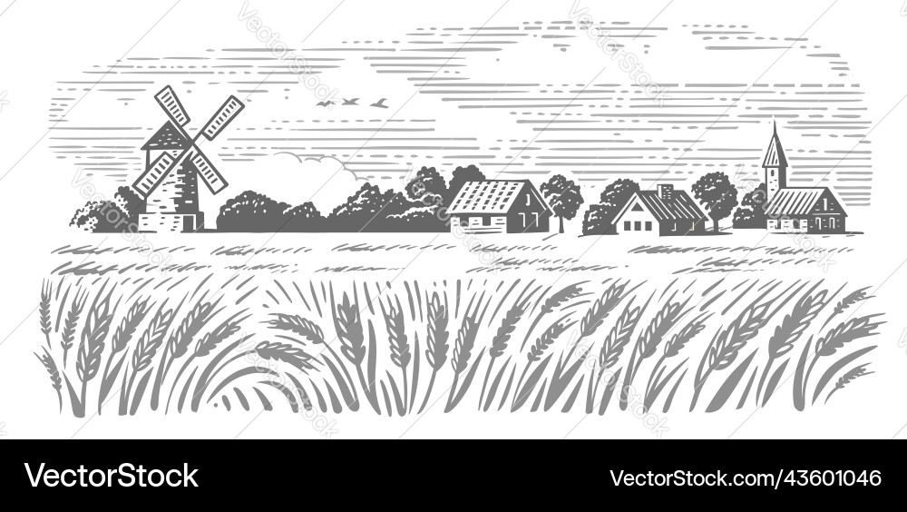 Wheat organic farming landscape farm Royalty Free Vector