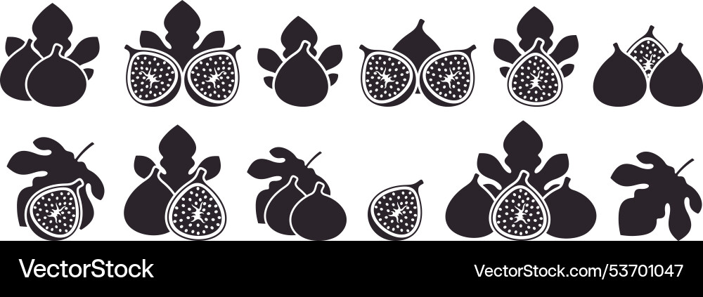 Fig Tree Vector Images (over 1,300)