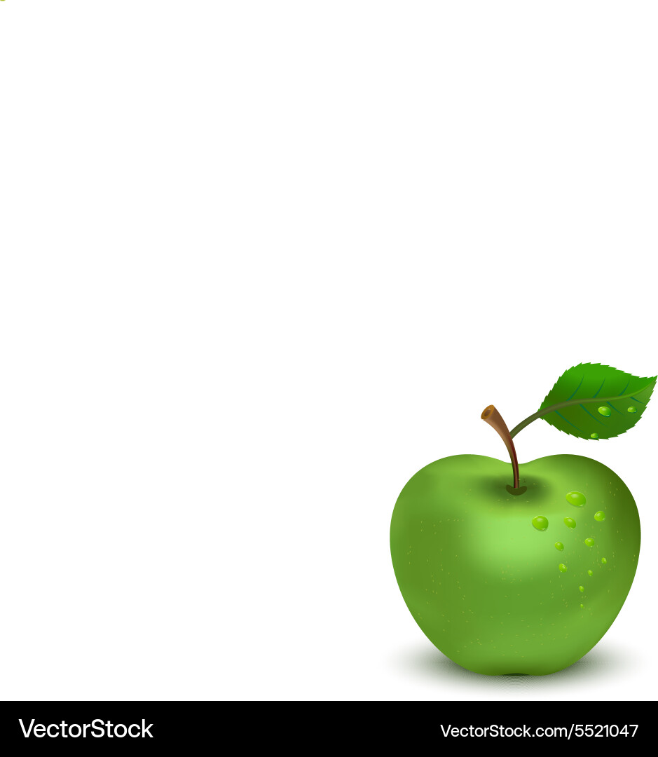 Green apple on white background Royalty Free Vector Image