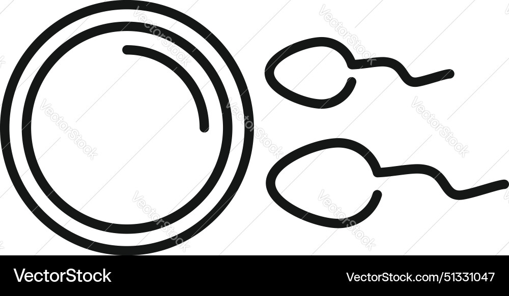 Simple line art of sperm and egg cell Royalty Free Vector