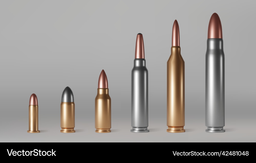 Bullet cartridges ammunition for gun Royalty Free Vector
