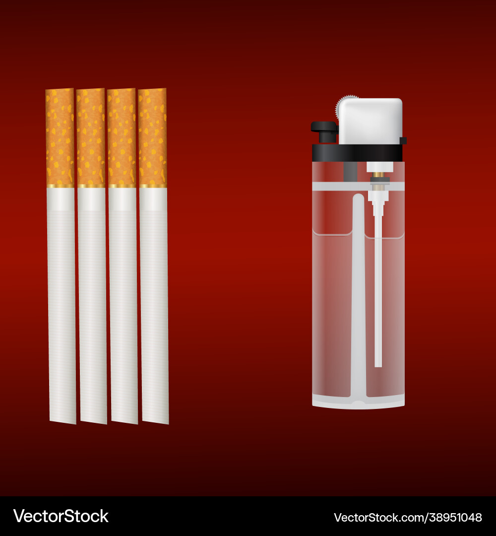 Four cigarette and white lighter on isolated Vector Image