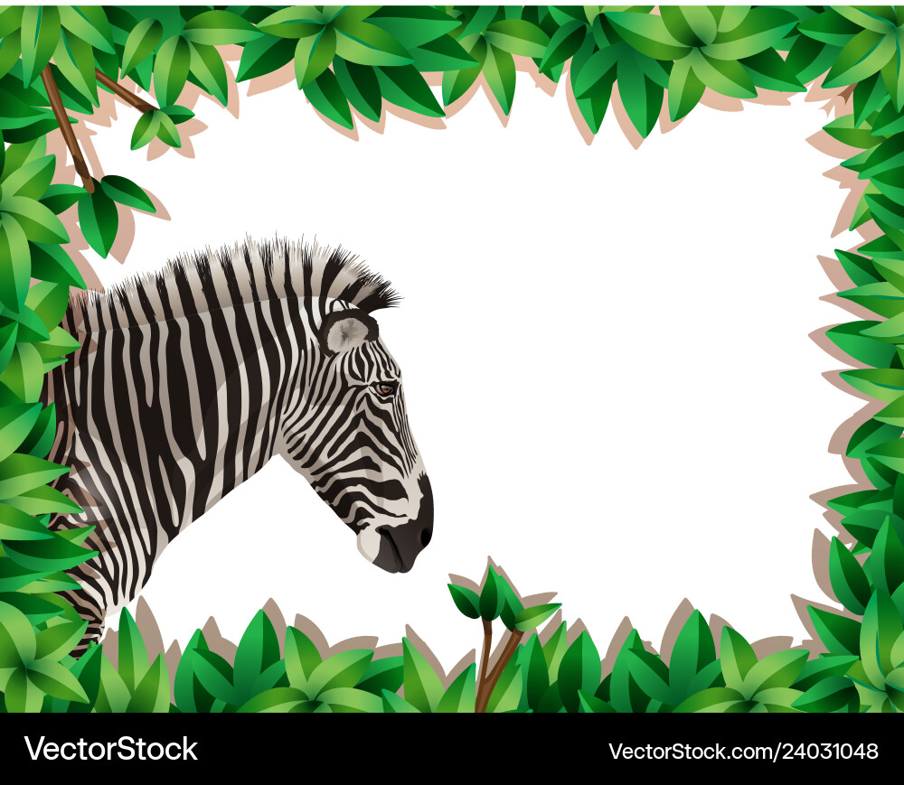 Zebra Border Clip Art