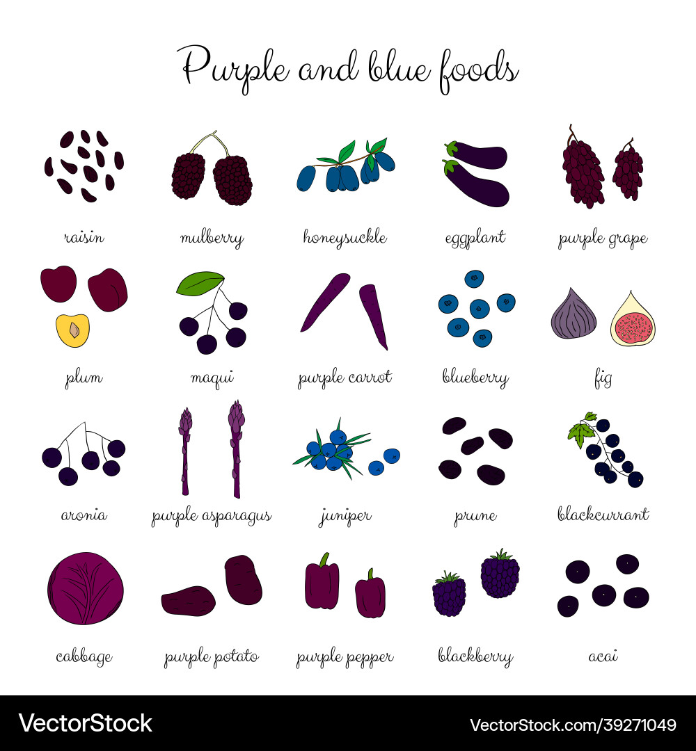 Hand drawn purple and blue foods set Royalty Free Vector